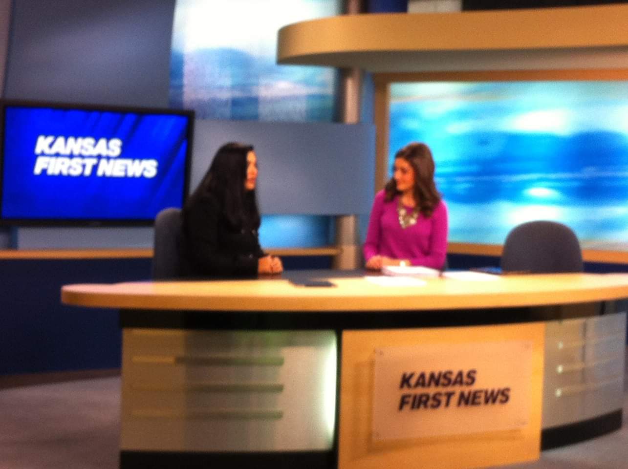 Manisha Sinha, Historian